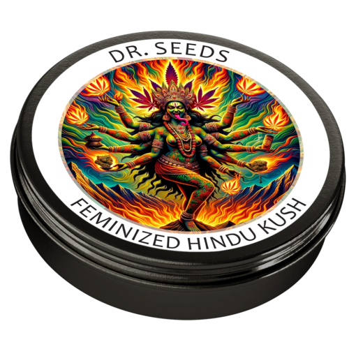 Hindu Kush Feminized Cannabis Seeds - dr seeds Hindu Kush Feminized Cannabis Seeds - dr seeds