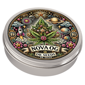 Nova OG Feminized Seeds – dr seeds