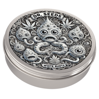 White Runtz Feminized Seeds – dr seeds