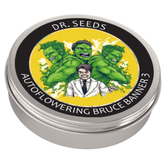 Bruce Banner #3 Autoflowering Seeds – Potent Hybrid with Balanced Effects