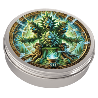 G13 Feminized Seeds – Legendary Broad Leaf-Dominant Strain with Potent ...